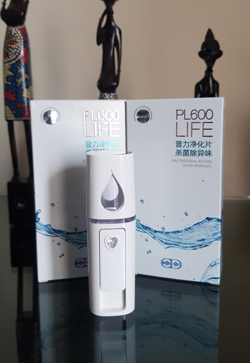 PL600 CI02 – BUY 2 BOXES FREE 1 handheld mist spray – aiformatic.com